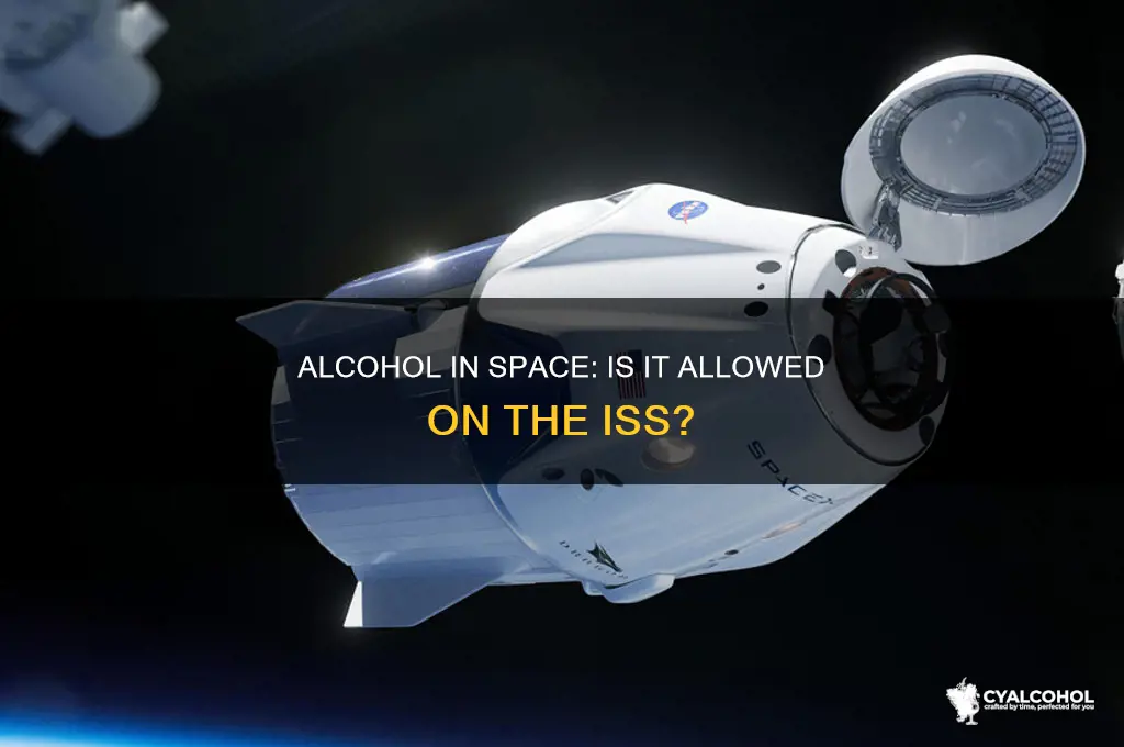 Alcohol In Space: Is It Allowed On The Iss? | CyAlcohol
