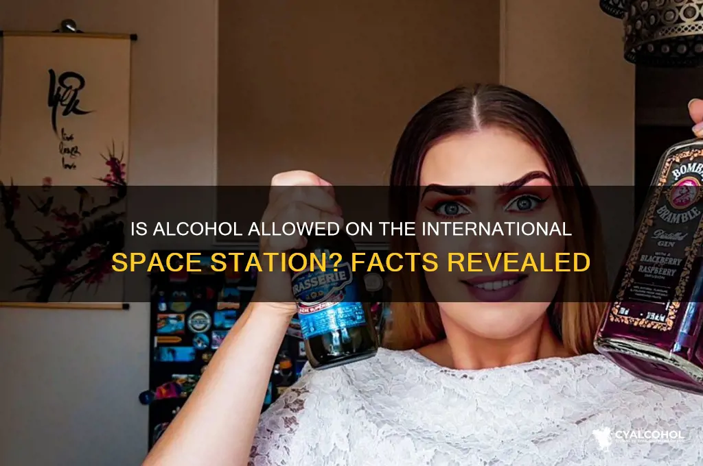 Is Alcohol Allowed On The International Space Station? Facts Revealed ...