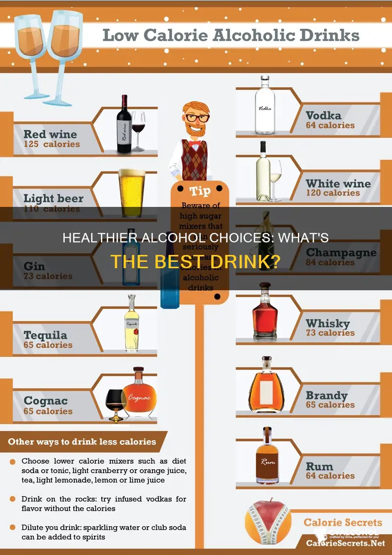 Healthier Alcohol Choices: What's The Best Drink? | CyAlcohol
