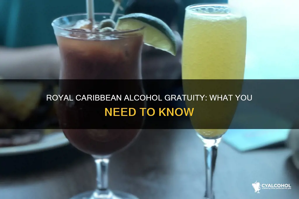 Royal Caribbean Alcohol Gratuity: What You Need To Know | CyAlcohol