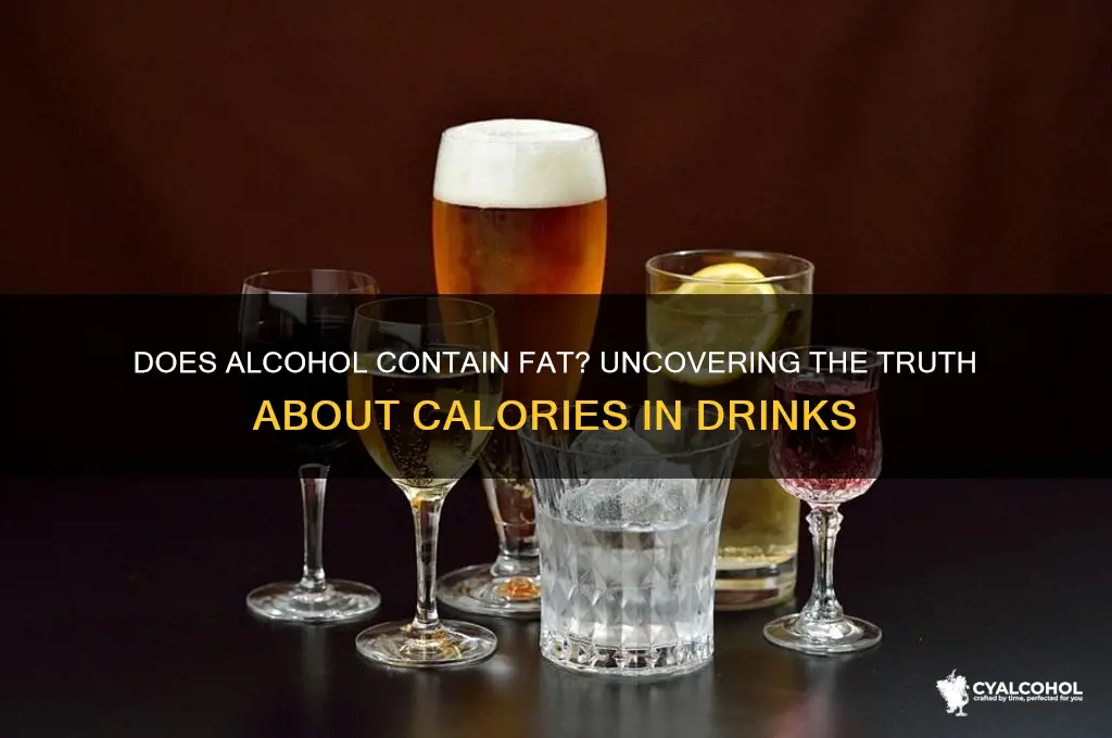 Does Alcohol Contain Fat? Uncovering The Truth About Calories In Drinks ...