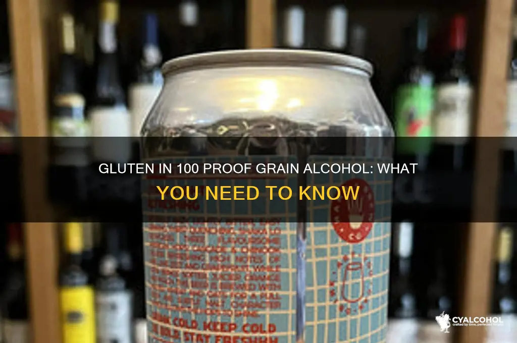 Gluten In 100 Proof Grain Alcohol: What You Need To Know | CyAlcohol