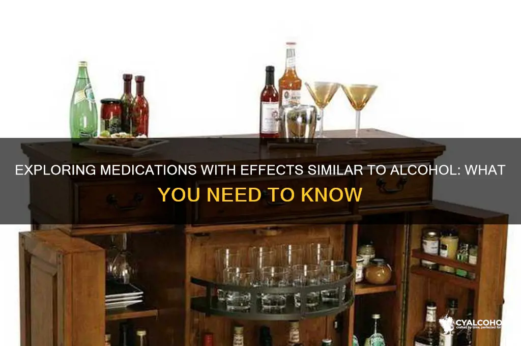 Exploring Medications With Effects Similar To Alcohol: What You Need To ...