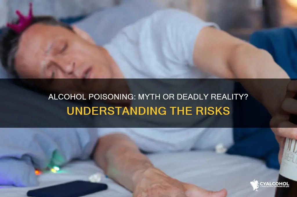 Alcohol Poisoning: Myth Or Deadly Reality? Understanding The Risks ...