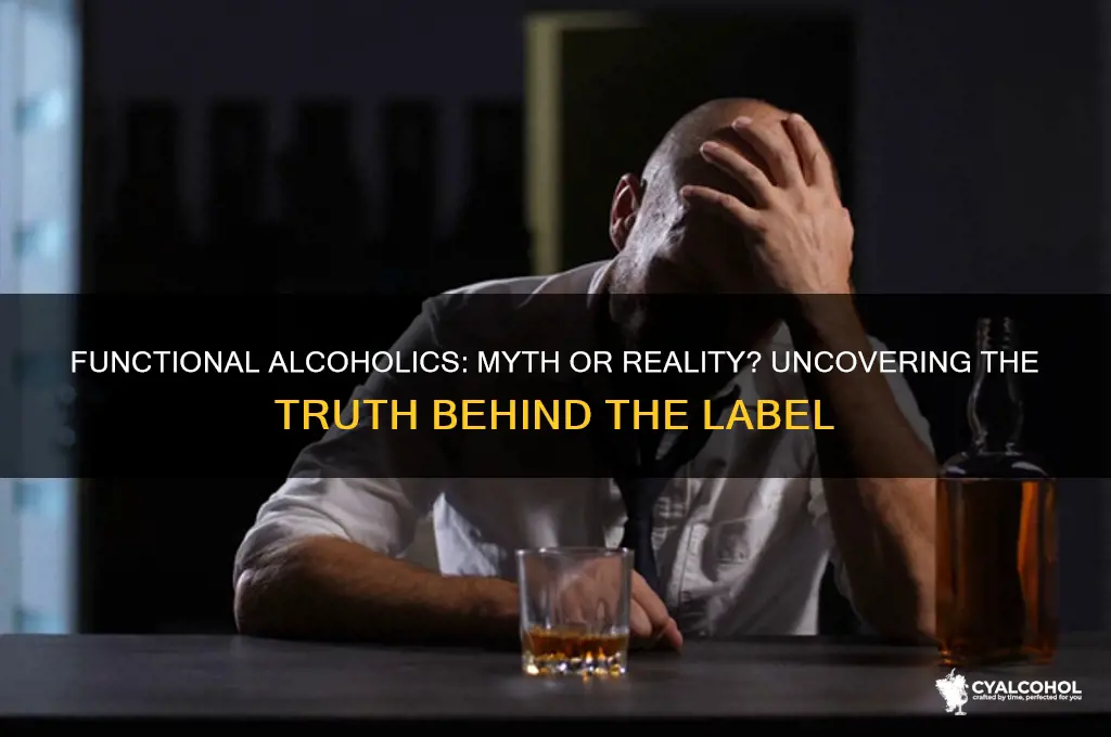 Functional Alcoholics: Myth Or Reality? Uncovering The Truth Behind The ...
