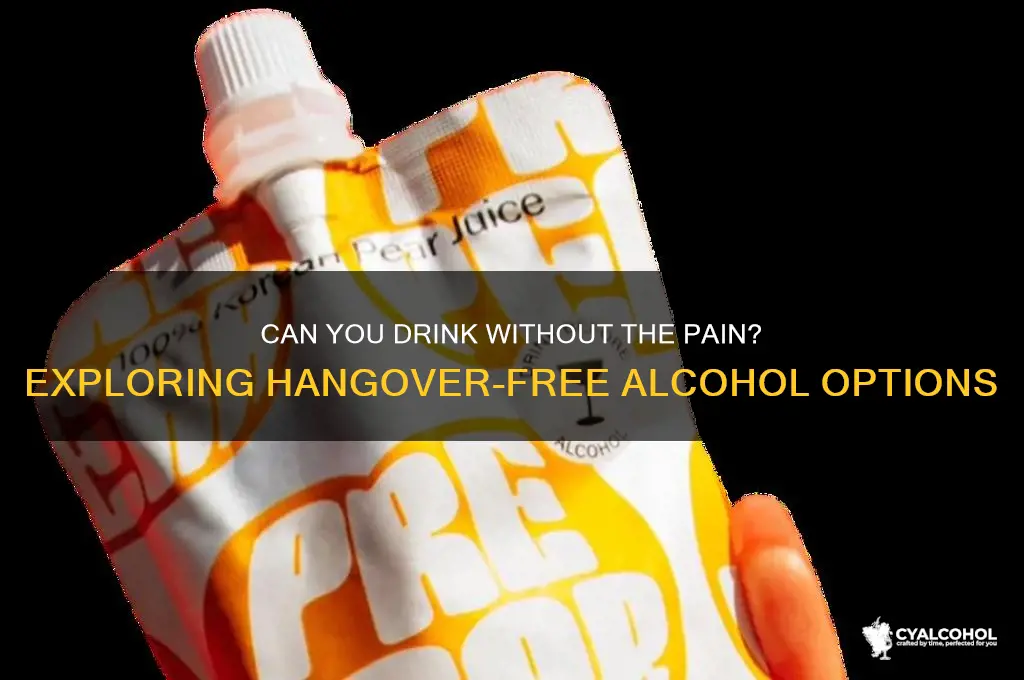 Can You Drink Without The Pain? Exploring Hangover-Free Alcohol Options ...