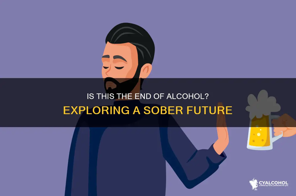 Is This The End Of Alcohol? Exploring A Sober Future | CyAlcohol
