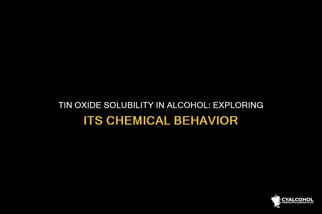 Tin Oxide Solubility In Alcohol: Exploring Its Chemical Behavior ...