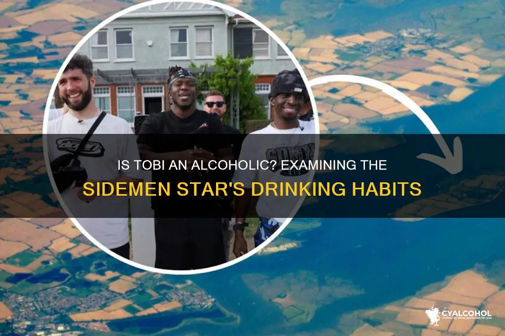 Is Tobi An Alcoholic? Examining The Sidemen Star's Drinking Habits ...