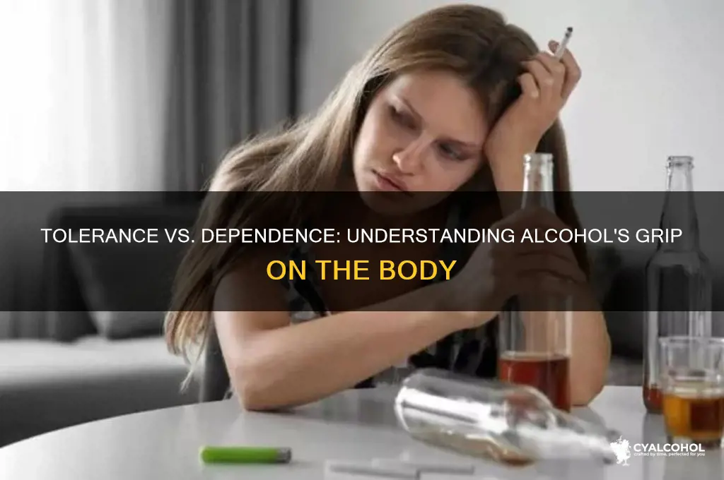 Tolerance Vs. Dependence: Understanding Alcohol's Grip On The Body ...