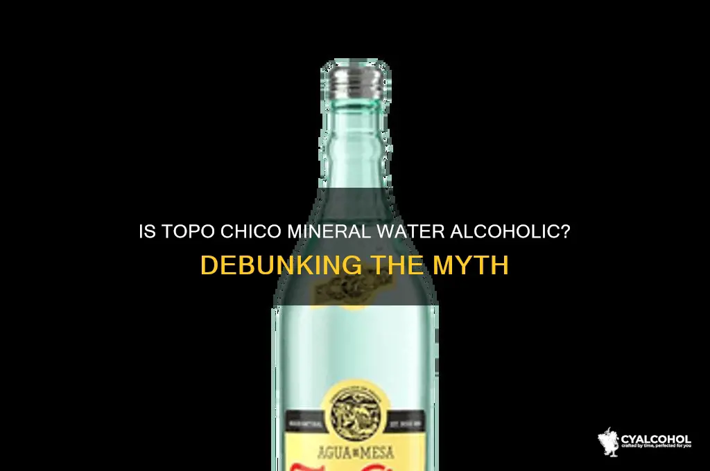 Is Topo Chico Mineral Water Alcoholic? Debunking The Myth | CyAlcohol