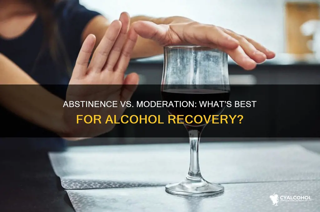 Abstinence Vs. Moderation: What’S Best For Alcohol Recovery? | CyAlcohol