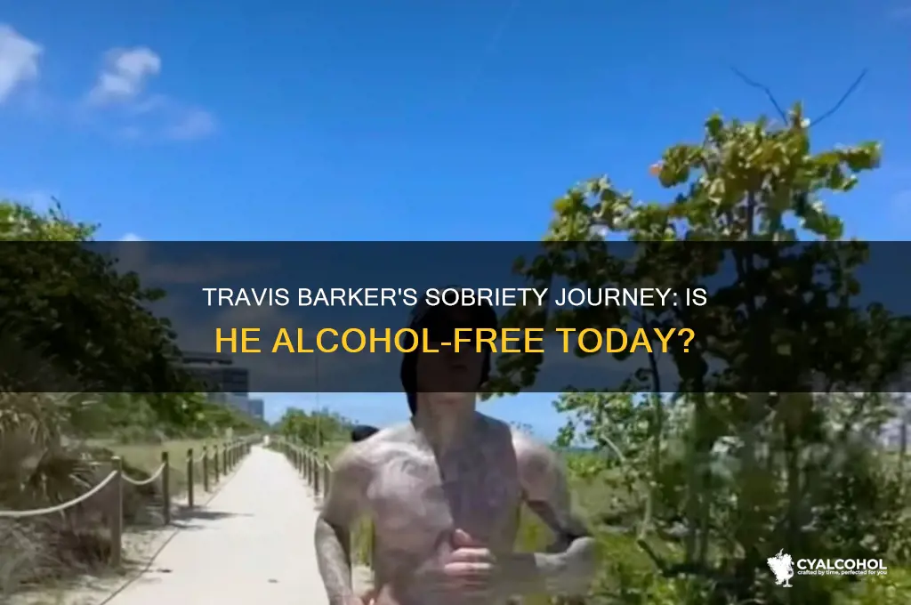 Travis Barker's Sobriety Journey: Is He Alcohol-Free Today? | CyAlcohol