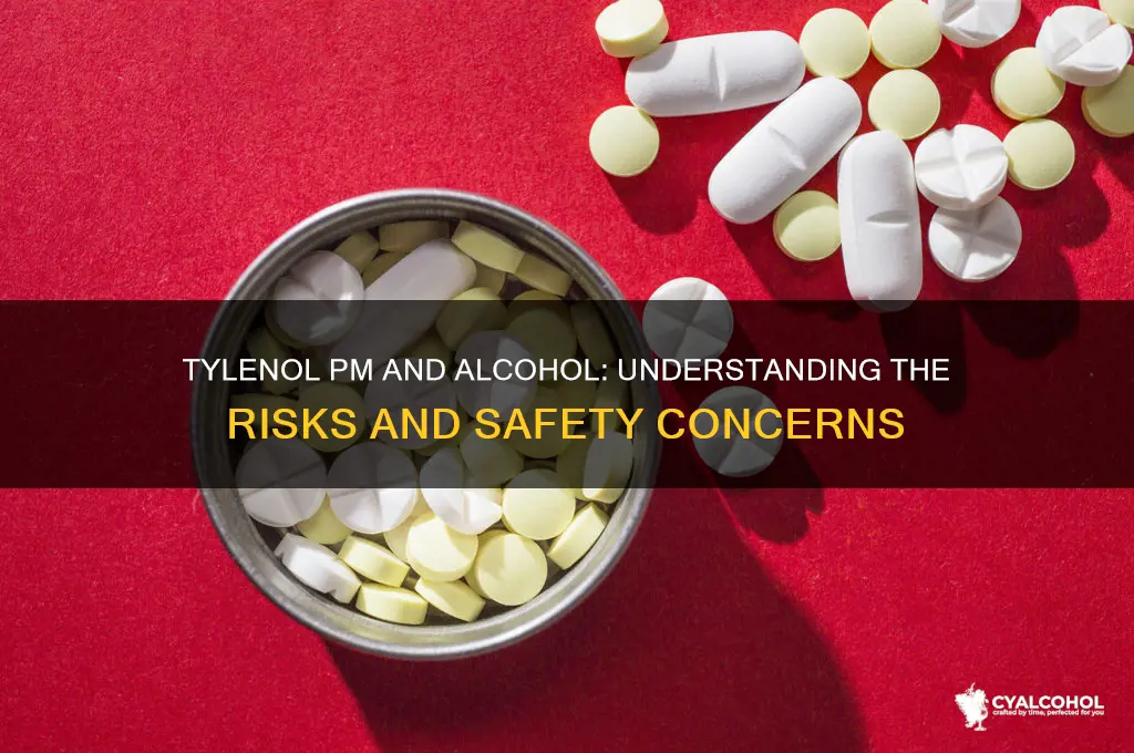 Tylenol Pm And Alcohol: Understanding The Risks And Safety Concerns ...