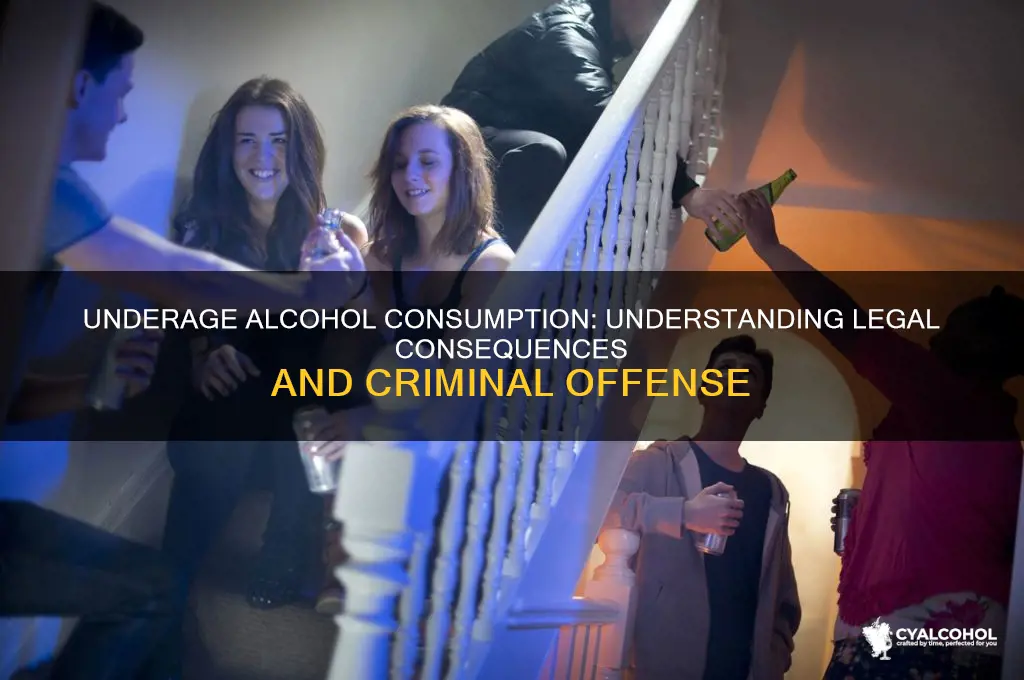 Underage Alcohol Consumption: Understanding Legal Consequences And ...