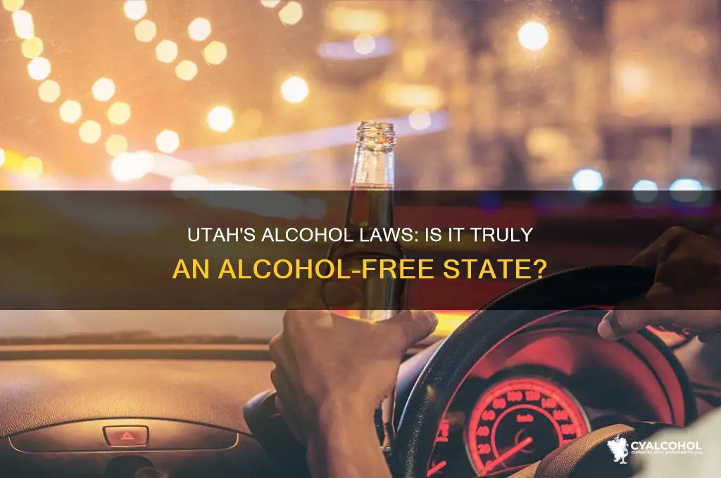 Utah's Alcohol Laws: Is It Truly An Alcohol-Free State? | CyAlcohol