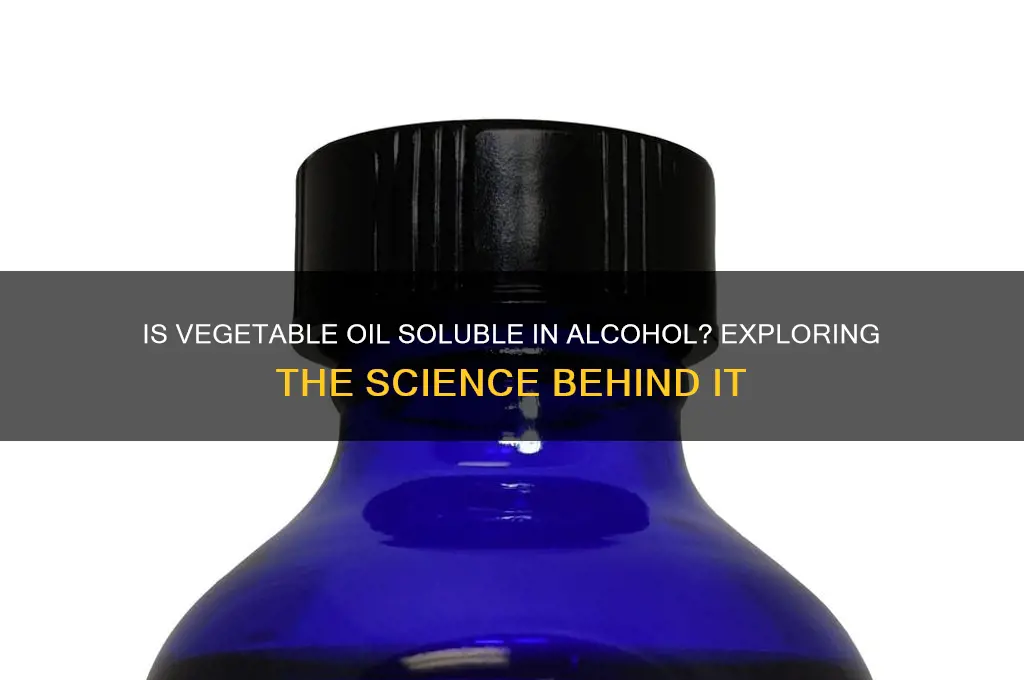Is Vegetable Oil Soluble In Alcohol? Exploring The Science Behind It ...
