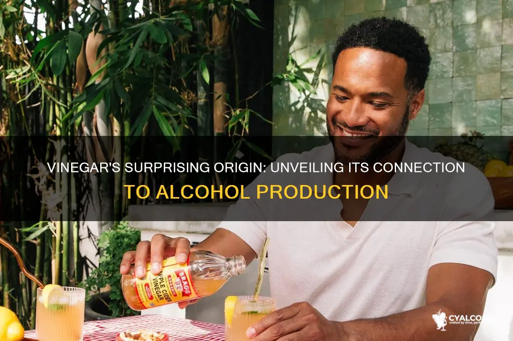 Vinegar's Surprising Origin: Unveiling Its Connection To Alcohol ...