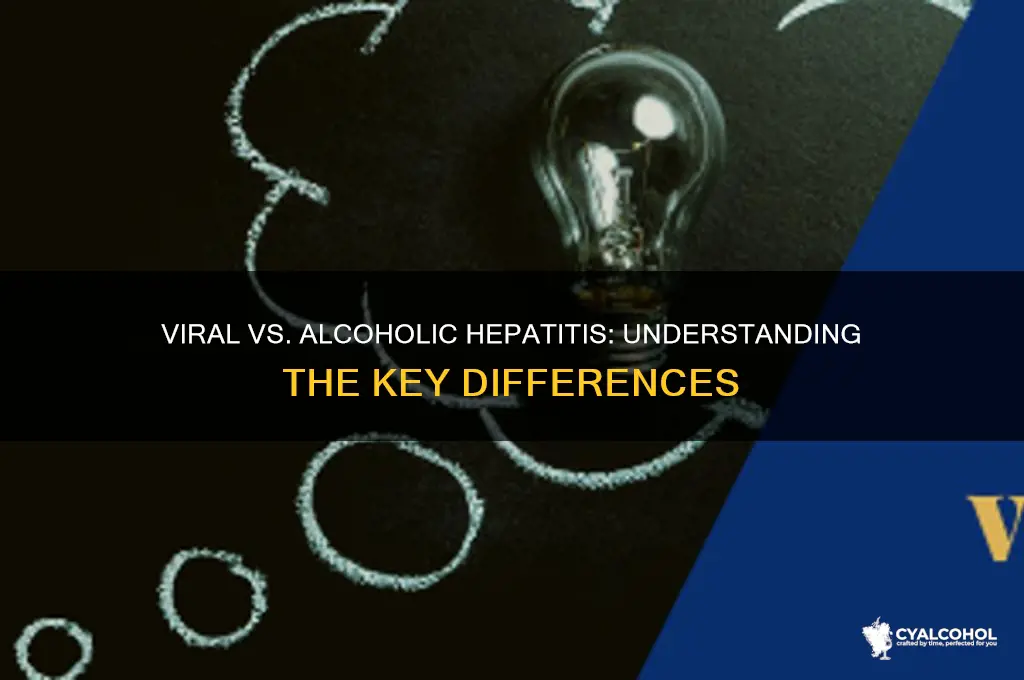 Viral Vs. Alcoholic Hepatitis: Understanding The Key Differences ...