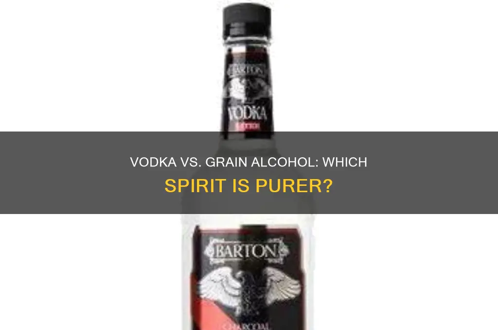 Vodka Vs. Grain Alcohol: Which Spirit Is Purer? | CyAlcohol