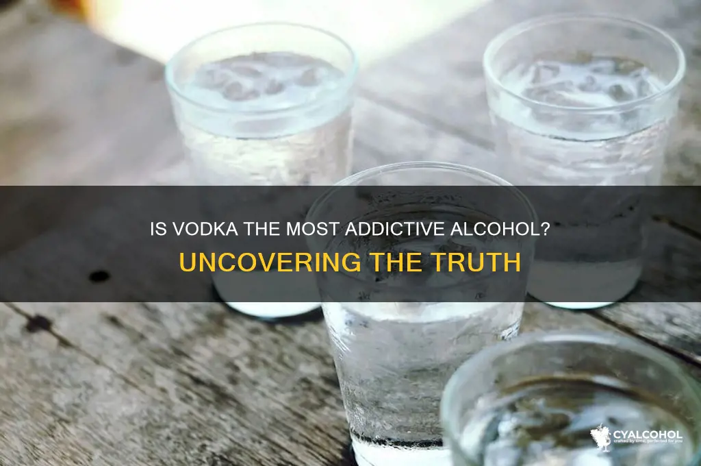 Is Vodka The Most Addictive Alcohol? Uncovering The Truth | CyAlcohol