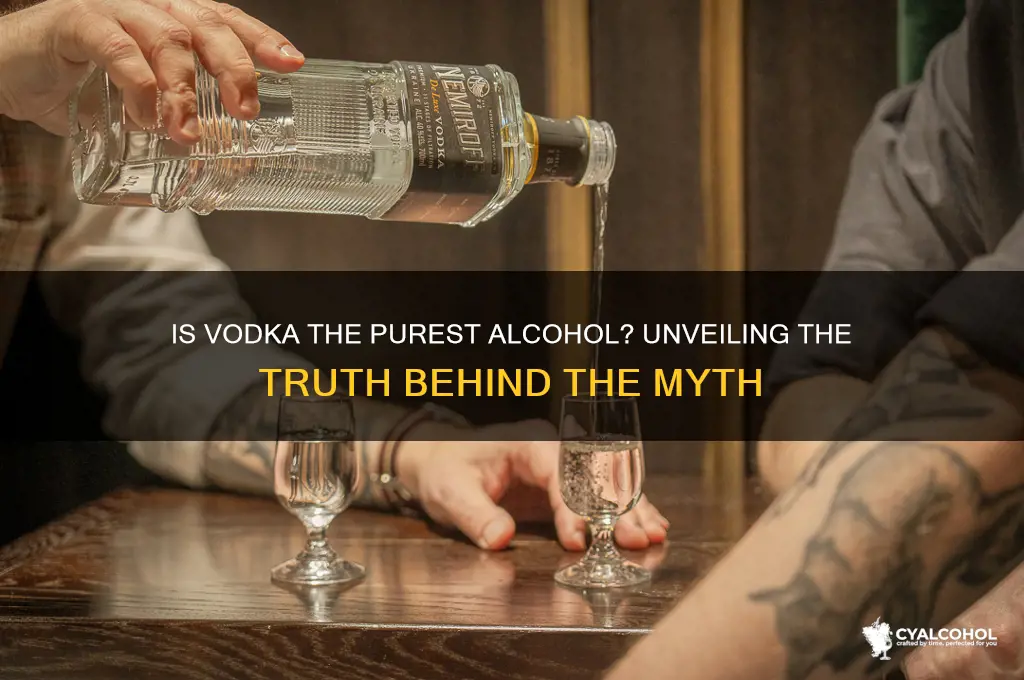Is Vodka The Purest Alcohol? Unveiling The Truth Behind The Myth ...