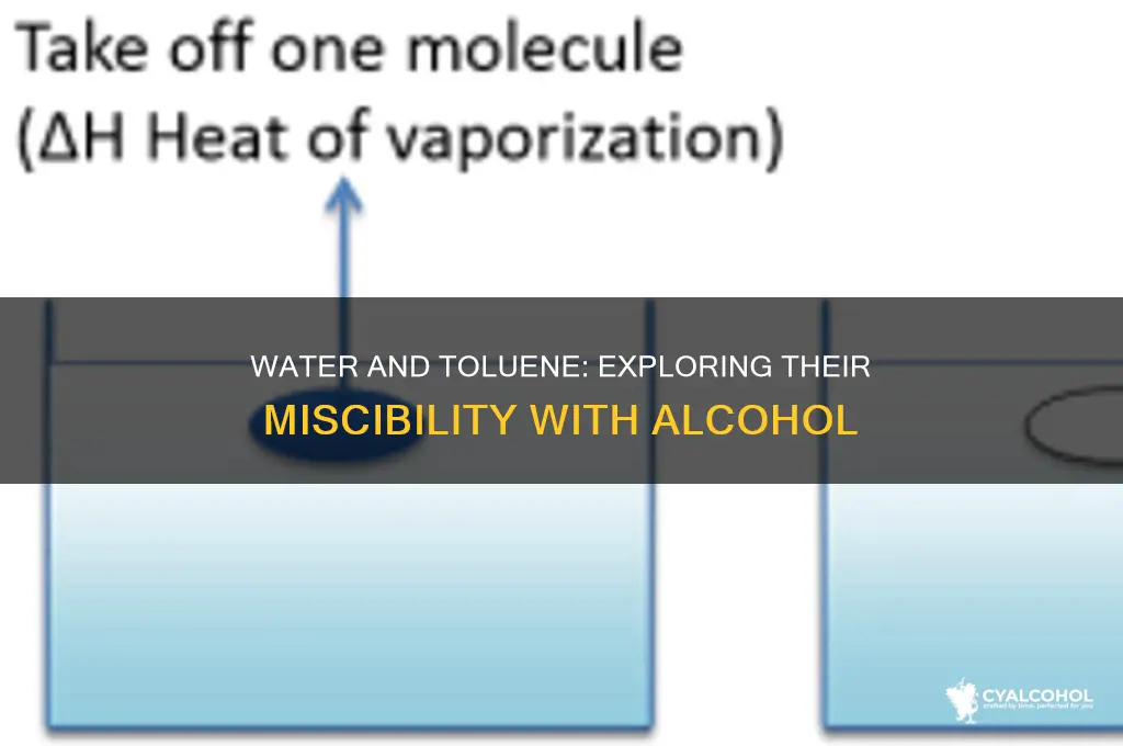 Water And Toluene: Exploring Their Miscibility With Alcohol | CyAlcohol