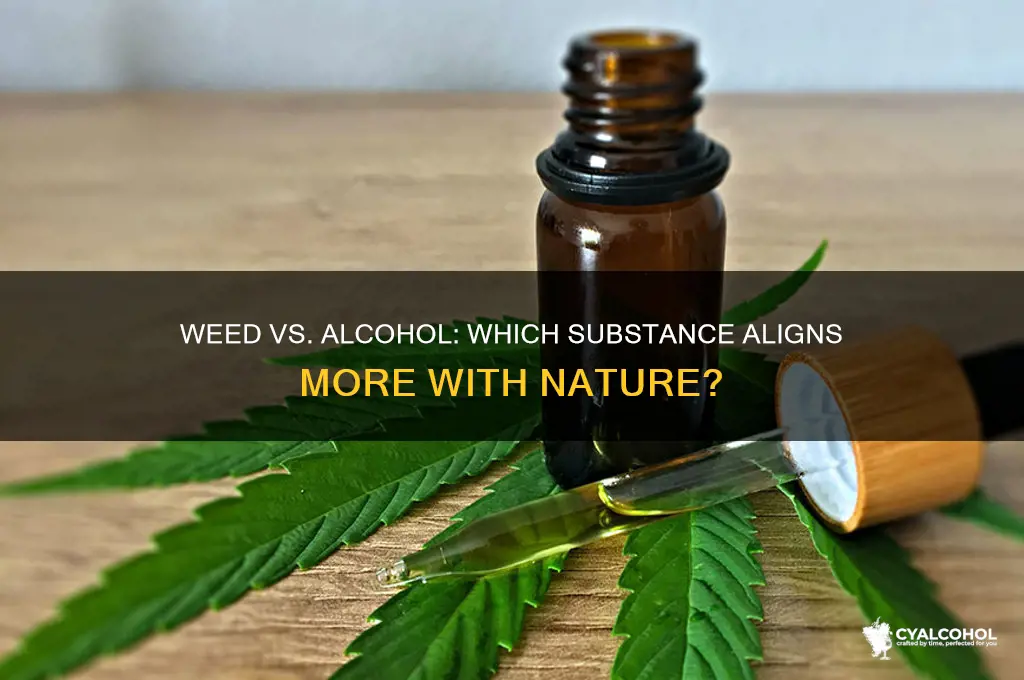 Weed Vs. Alcohol: Which Substance Aligns More With Nature? | CyAlcohol