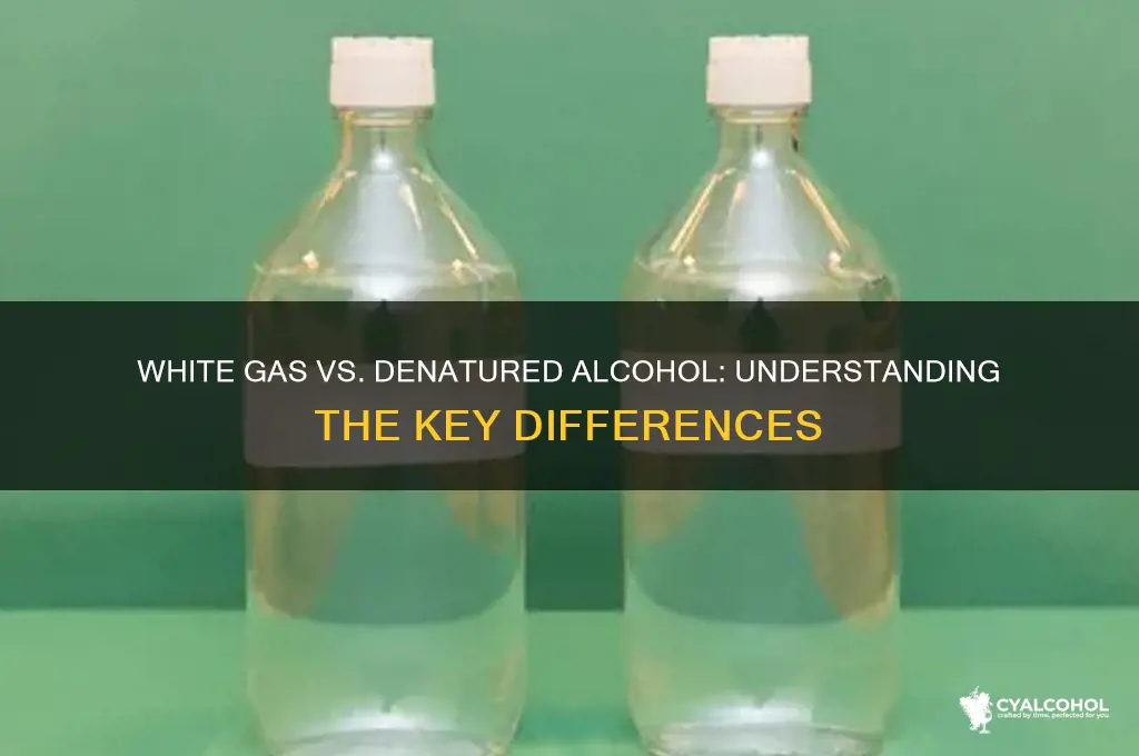 White Gas Vs. Denatured Alcohol: Understanding The Key Differences ...