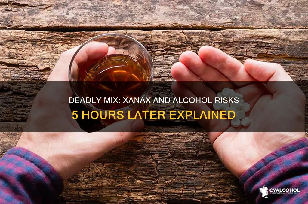 Deadly Mix: Xanax And Alcohol Risks 5 Hours Later Explained | CyAlcohol