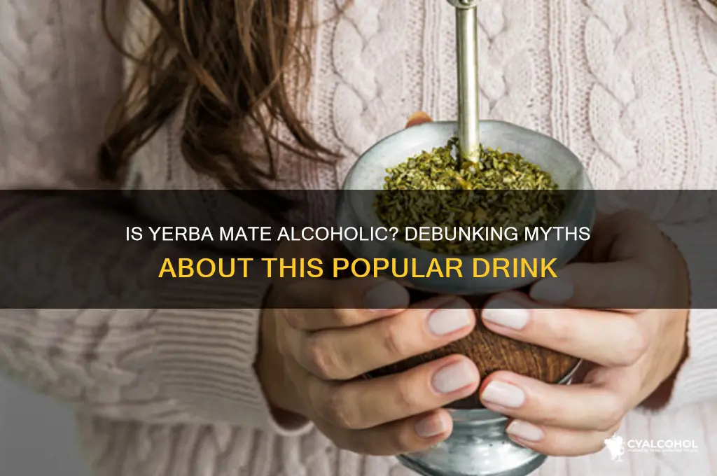 Is Yerba Mate Alcoholic? Debunking Myths About This Popular Drink ...
