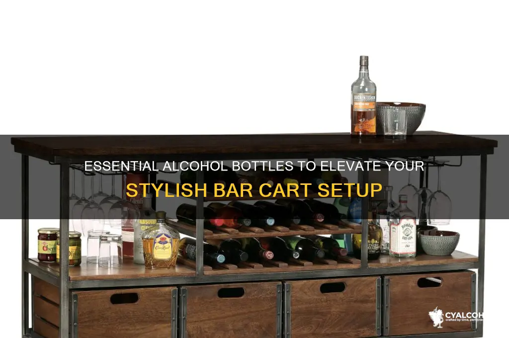 Essential Alcohol Bottles To Elevate Your Stylish Bar Cart Setup ...