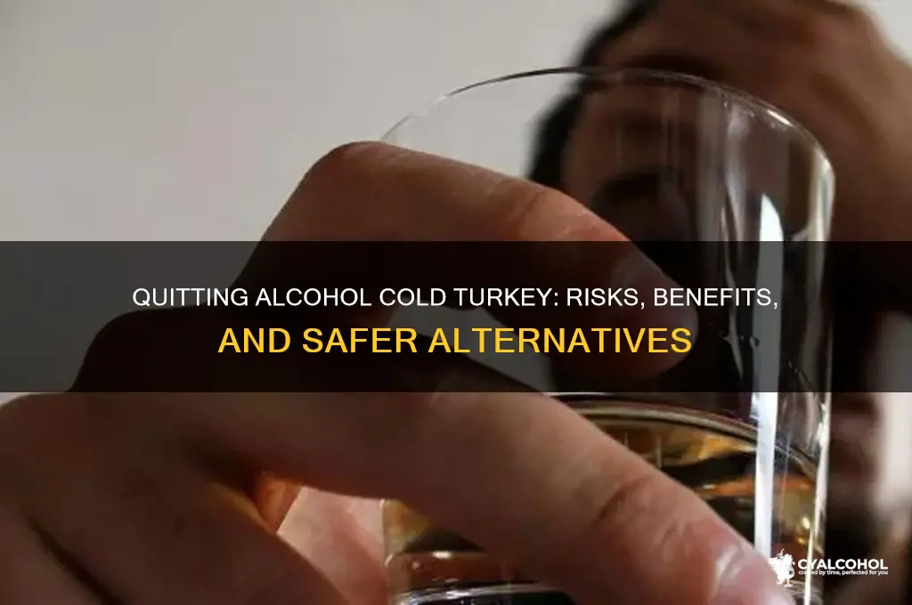 Quitting Alcohol Cold Turkey: Risks, Benefits, And Safer Alternatives ...