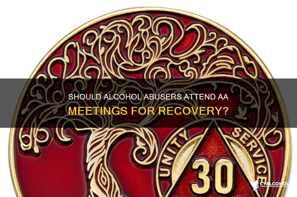 Should Alcohol Abusers Attend Aa Meetings For Recovery? | CyAlcohol