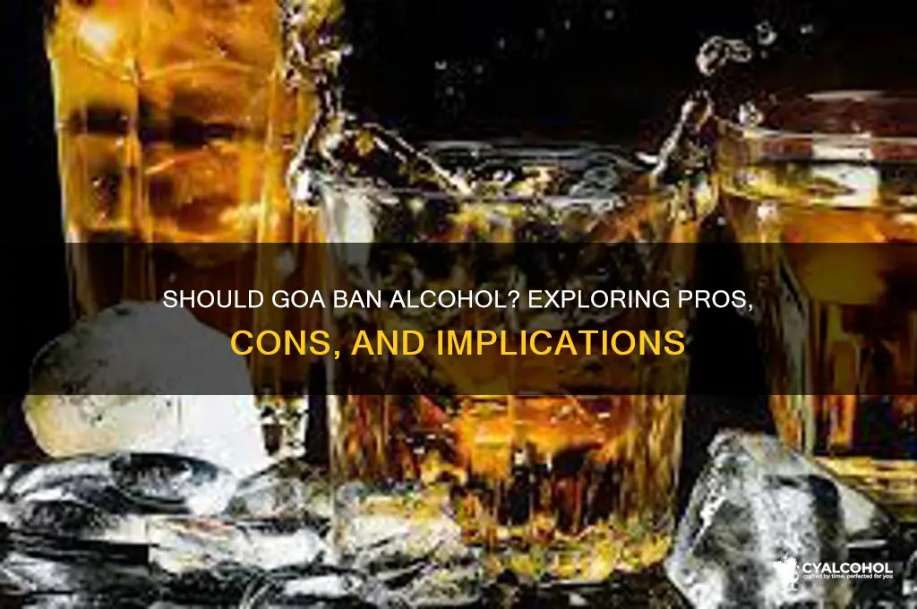 Should Goa Ban Alcohol? Exploring Pros, Cons, And Implications | CyAlcohol