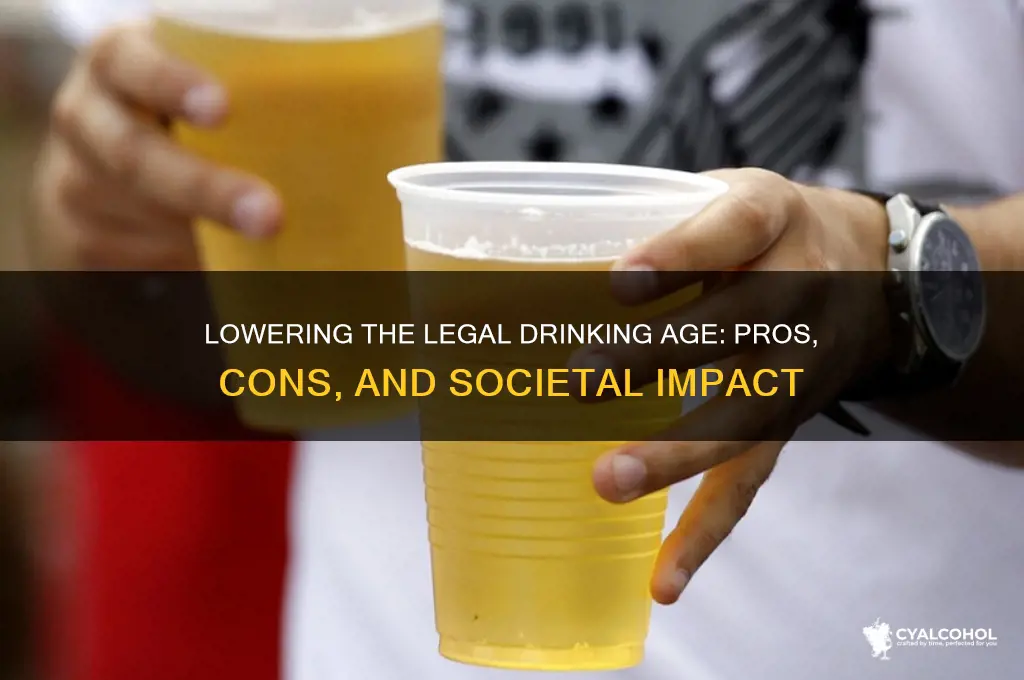 Lowering The Legal Drinking Age: Pros, Cons, And Societal Impact ...