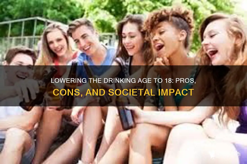 Lowering The Drinking Age To 18: Pros, Cons, And Societal Impact ...