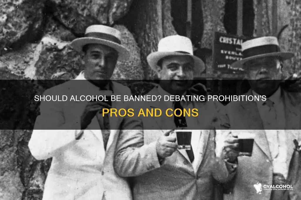 Should Alcohol Be Banned? Debating Prohibition's Pros And Cons | CyAlcohol