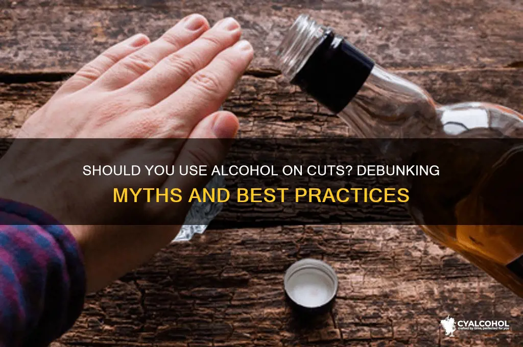 Should You Use Alcohol On Cuts? Debunking Myths And Best Practices ...
