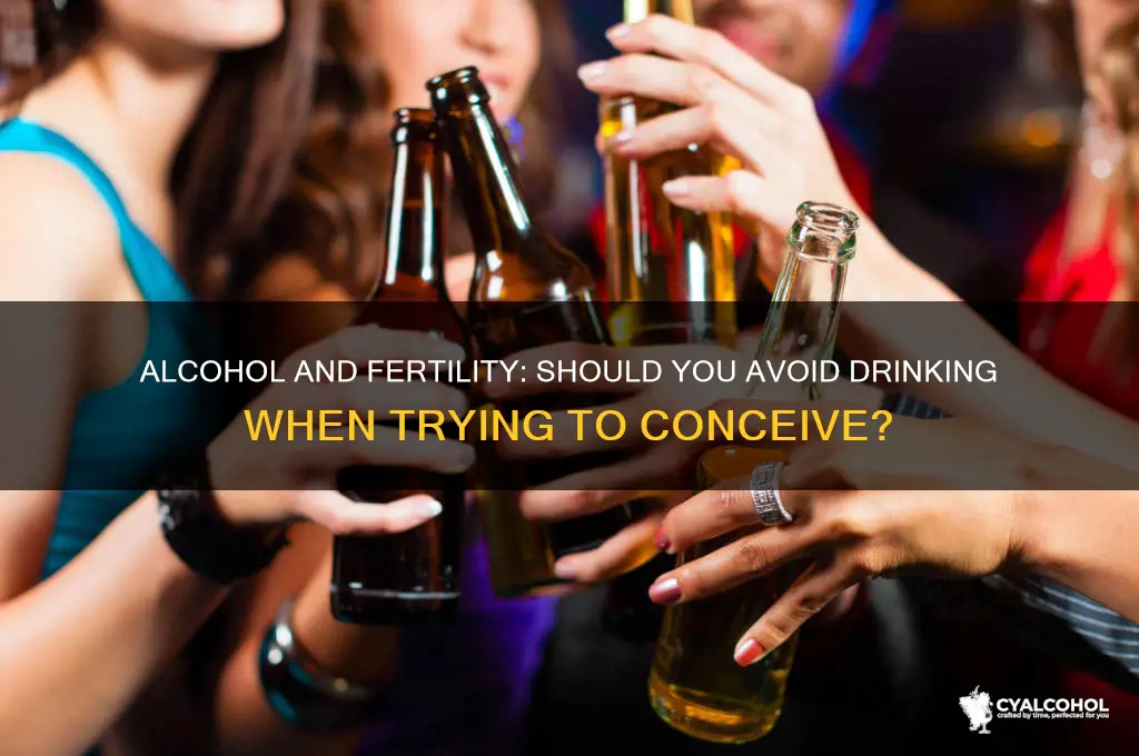 Alcohol And Fertility: Should You Avoid Drinking When Trying To ...