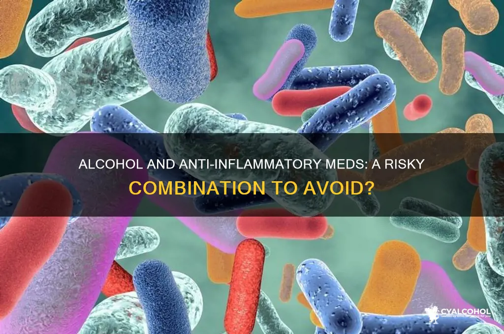 Alcohol And Anti-Inflammatory Meds: A Risky Combination To Avoid ...
