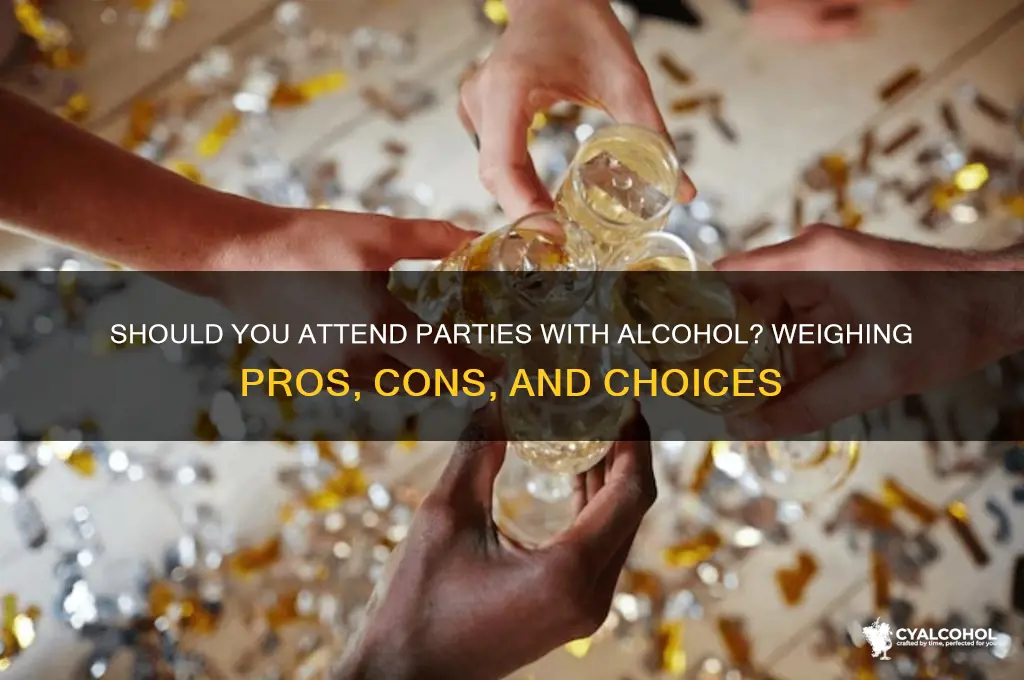 Should You Attend Parties With Alcohol? Weighing Pros, Cons, And ...