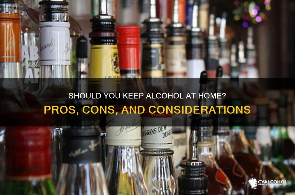 Should You Keep Alcohol At Home? Pros, Cons, And Considerations | CyAlcohol