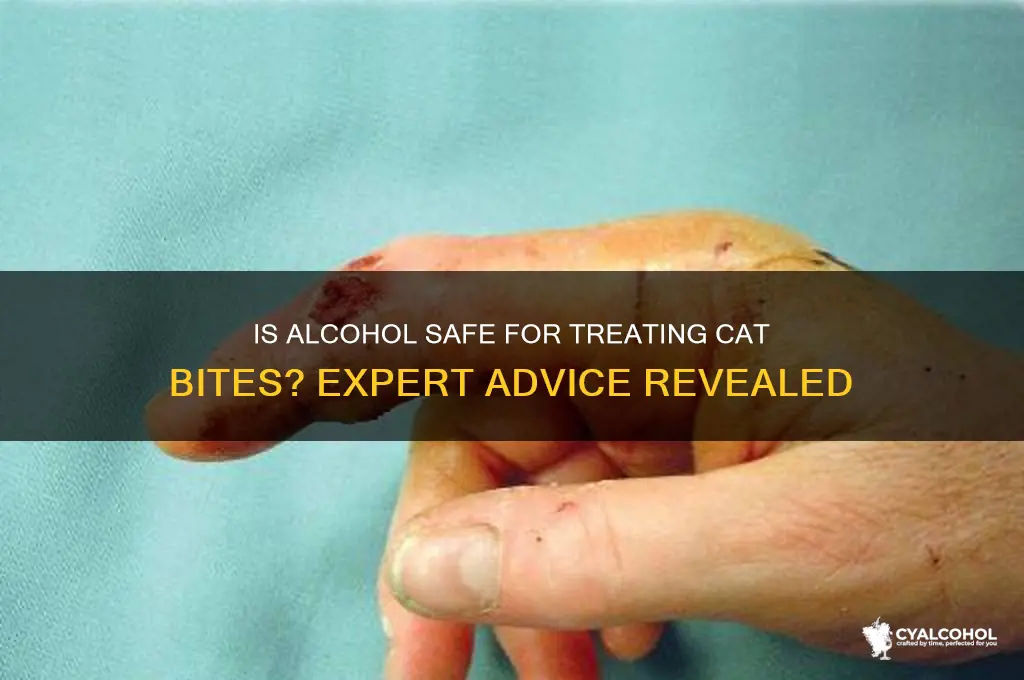 Is Alcohol Safe For Treating Cat Bites? Expert Advice Revealed | CyAlcohol