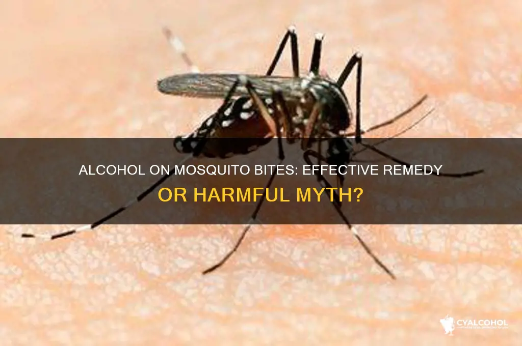 Alcohol On Mosquito Bites: Effective Remedy Or Harmful Myth? | CyAlcohol