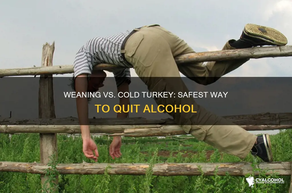 Weaning Vs. Cold Turkey: Safest Way To Quit Alcohol | CyAlcohol