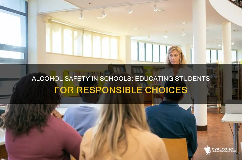 Alcohol Safety In Schools: Educating Students For Responsible Choices ...