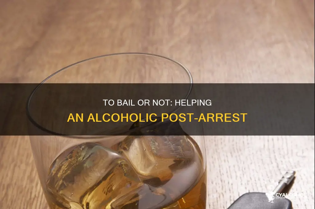 To Bail Or Not: Helping An Alcoholic Post-Arrest | CyAlcohol