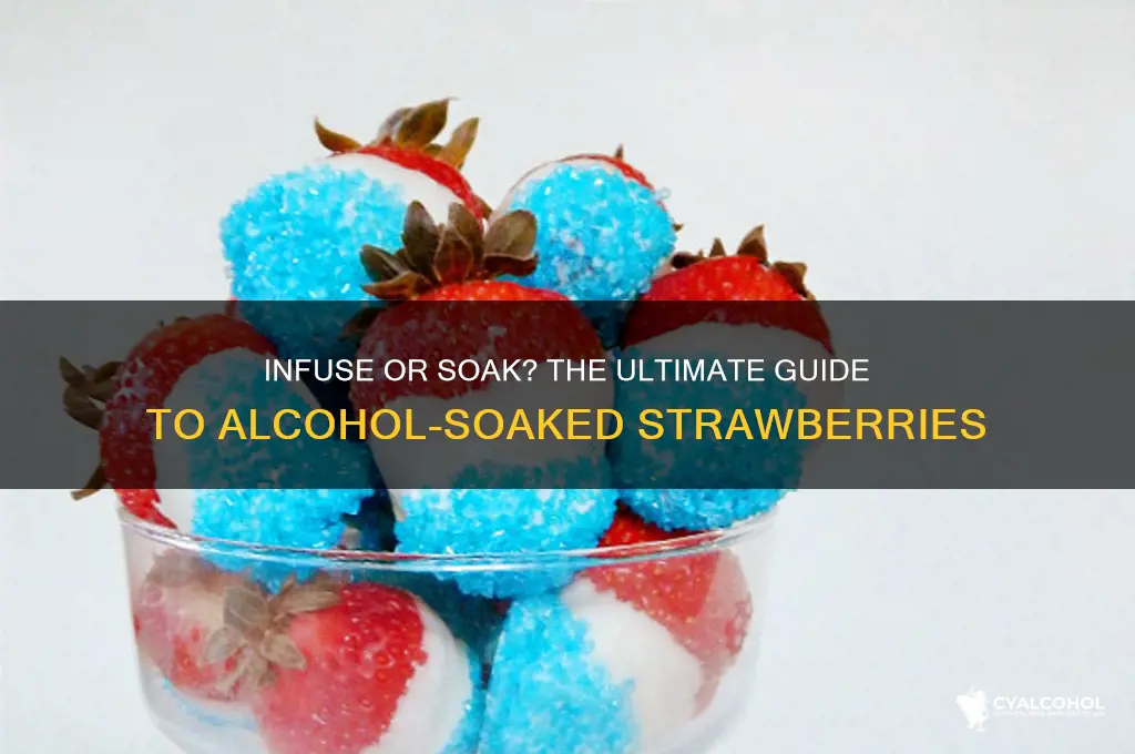 Infuse Or Soak? The Ultimate Guide To Alcohol-Soaked Strawberries ...