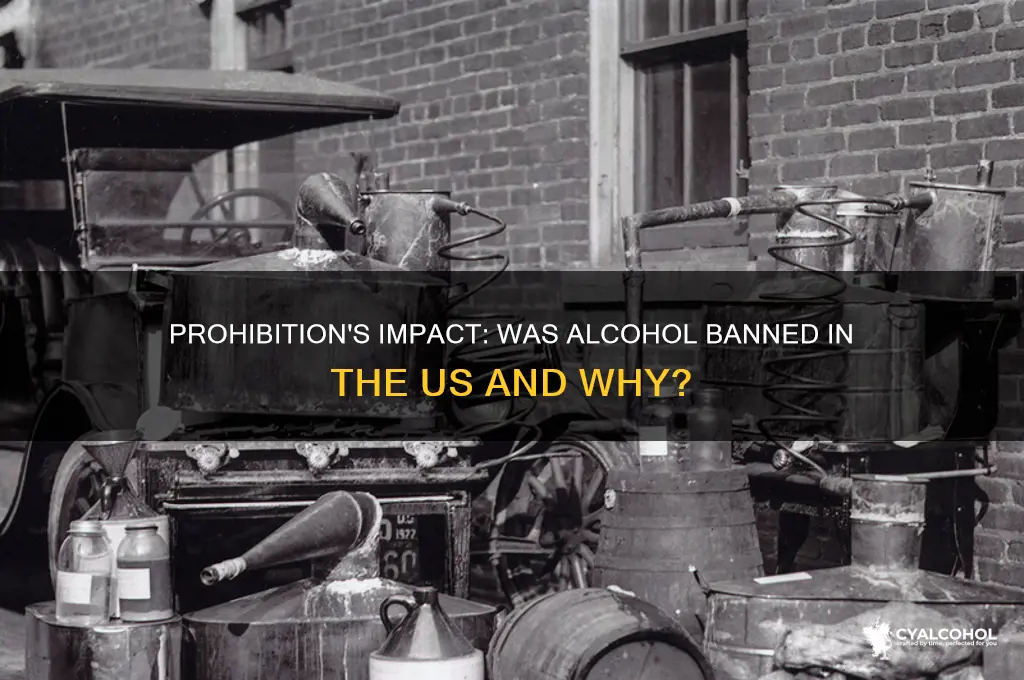 Prohibition's Impact: Was Alcohol Banned In The Us And Why? | CyAlcohol